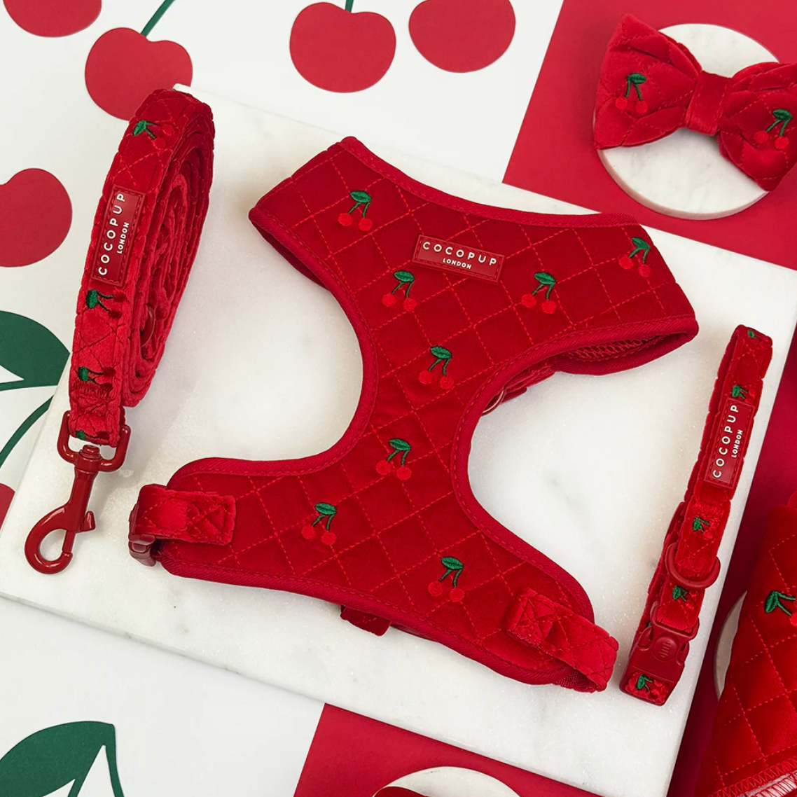 New In – Cocopup London