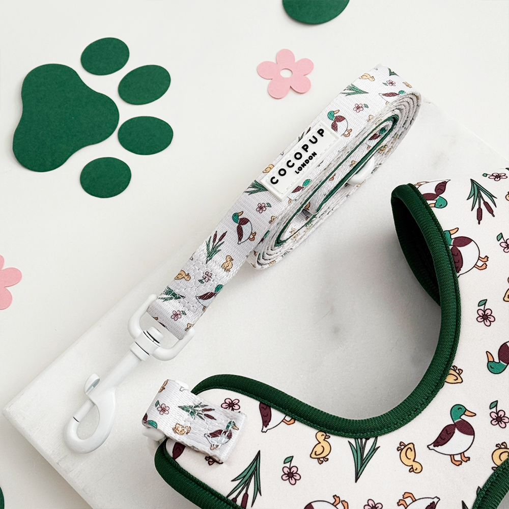 Puddle Pup Dog Lead | Cocopup London
