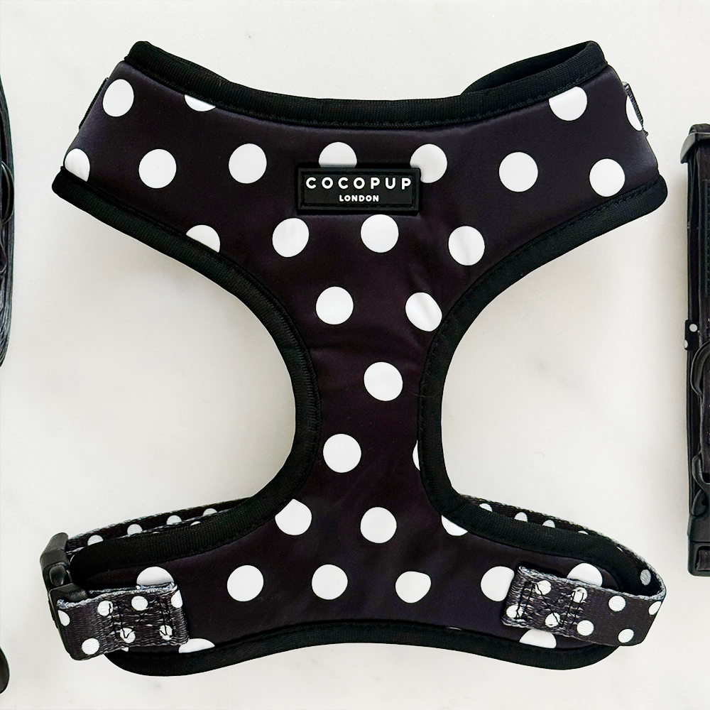 Polka Dot Adjustable Neck Dog Harness | Cocopup London