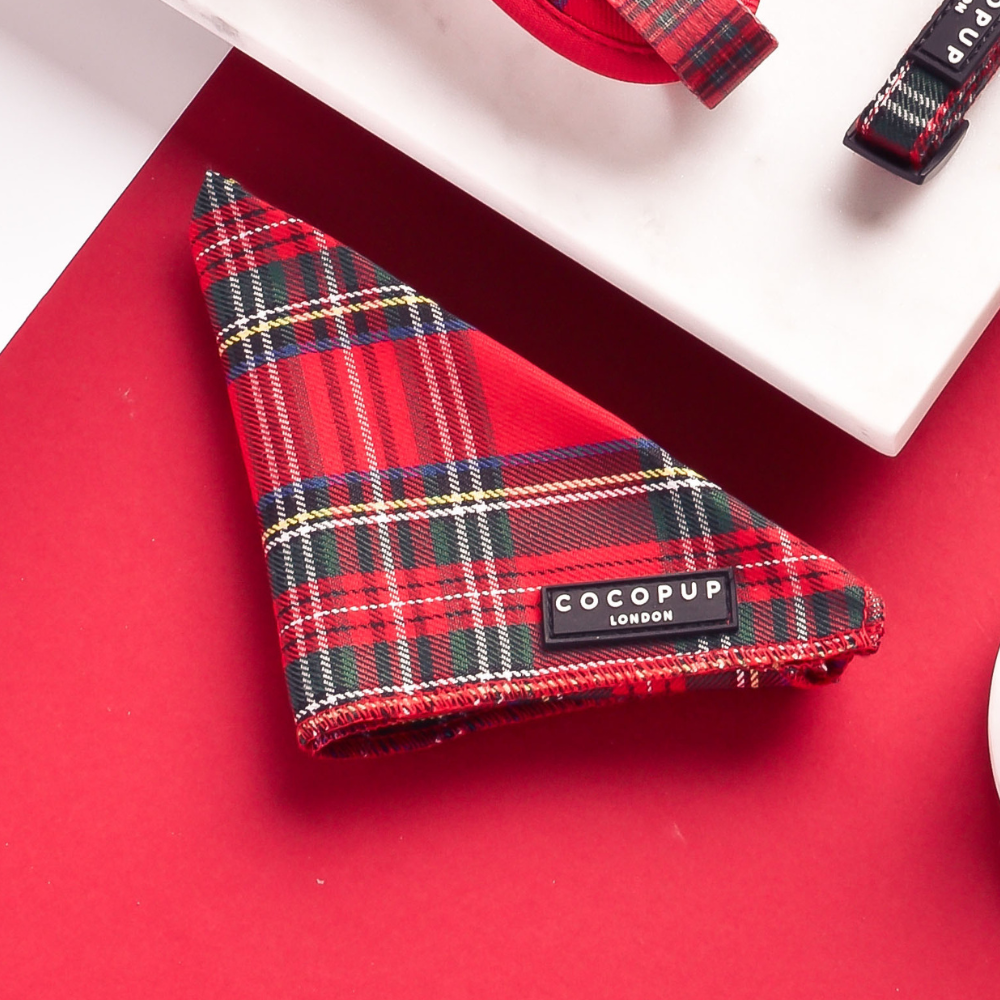 Tartan Dog Bandana | Cocopup London