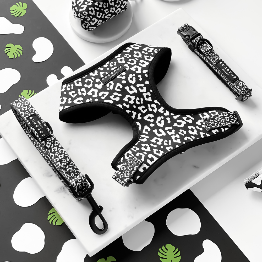 Black Leopard Adjustable Neck Dog Harness, Lead & Collar Bundle ...